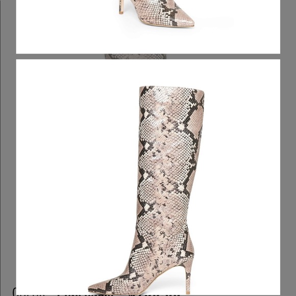 Steve Madden | Shoes | Brand New Steve Madden Snake Boots | Poshmark